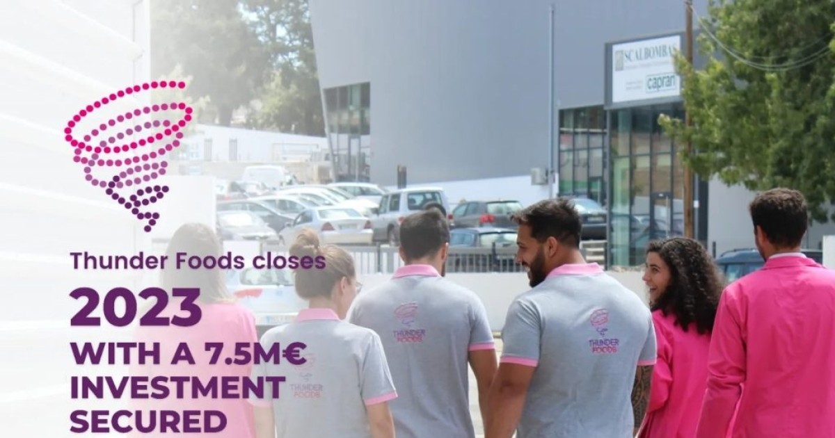 Thunderfoods - Novo Investimento - Notícias - BlueCrow Capital